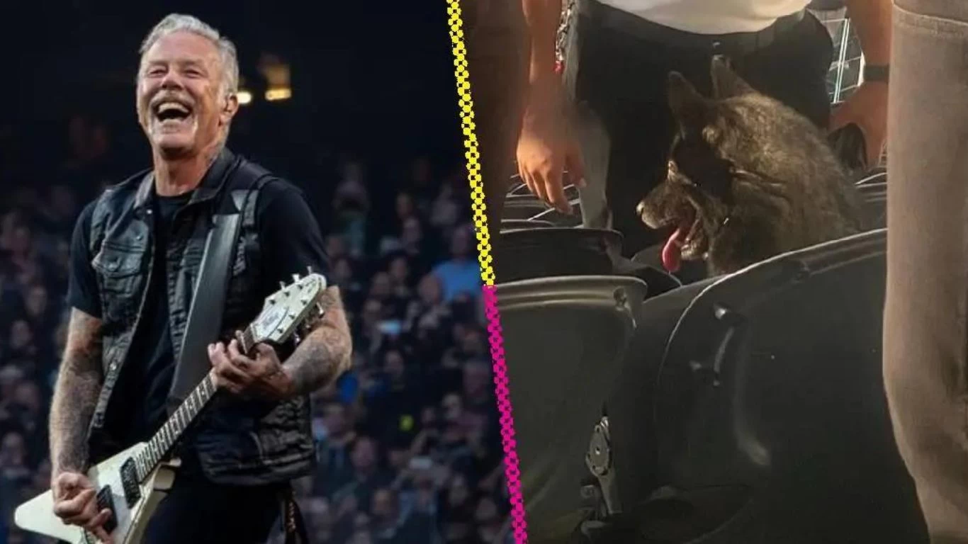 ¿Un perro en un concierto de Metallica? - FM Rock & Pop 95.9